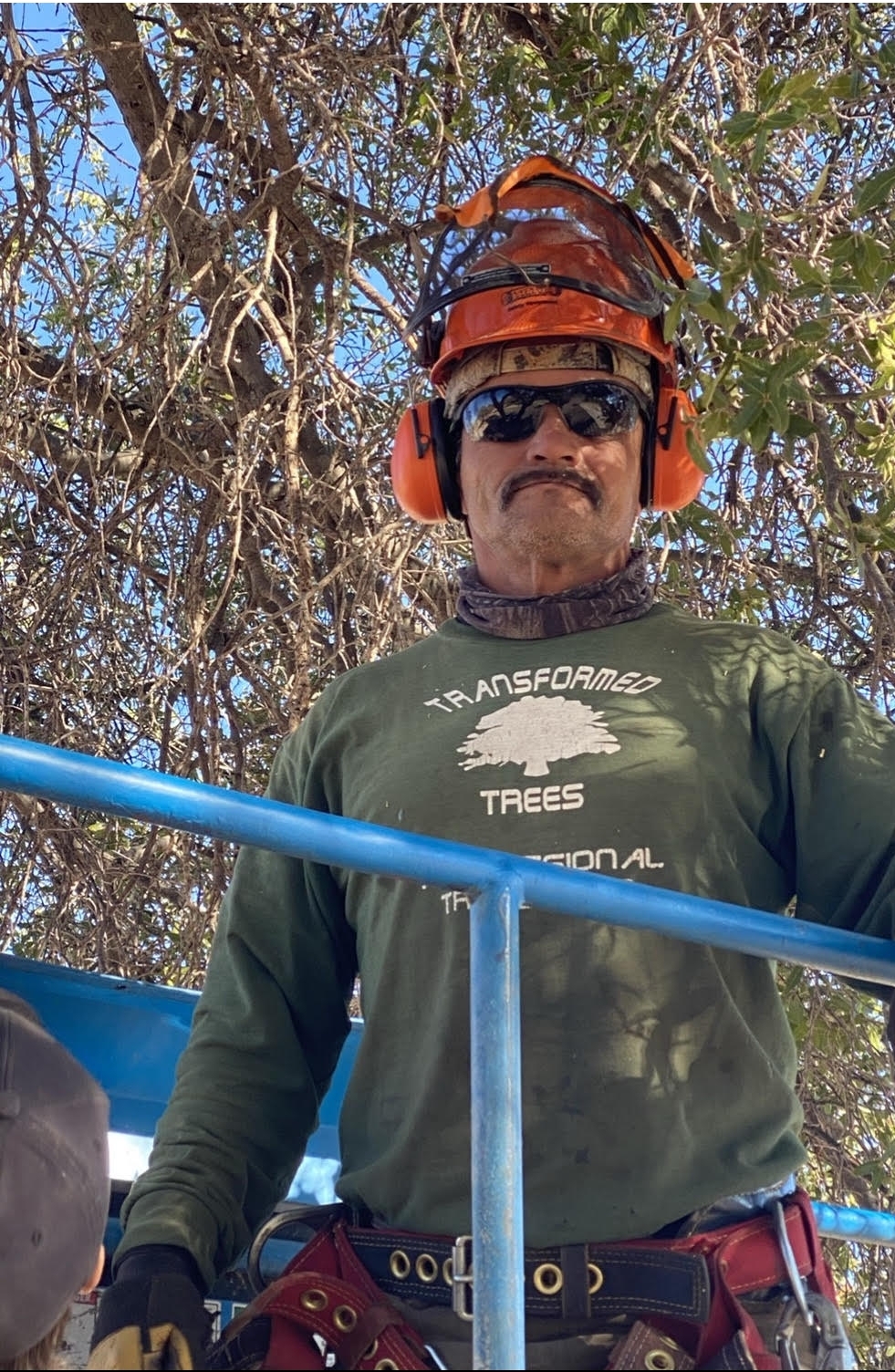 Tree Trimming, Tree Removal & Landscaping Tucson | Transformed Trees ...